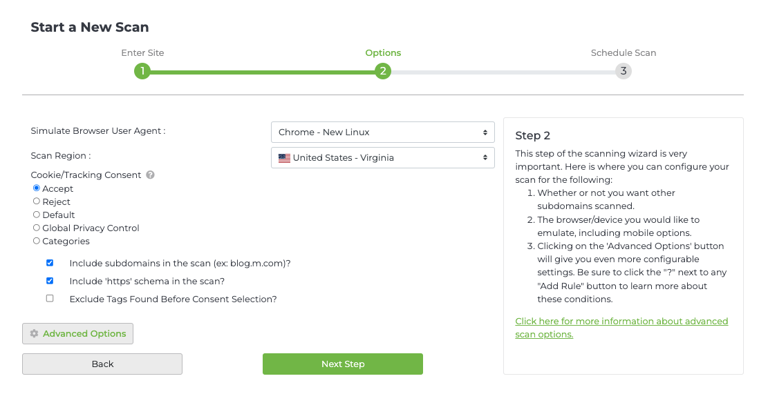 How do I use advanced scan options? - Tag Inspector